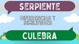 Diferencias entre serpiente y culebra