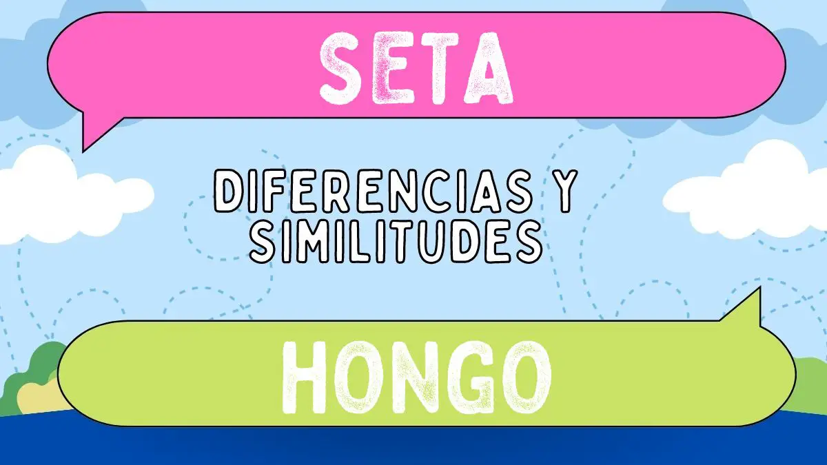 Diferencias entre seta y hongo