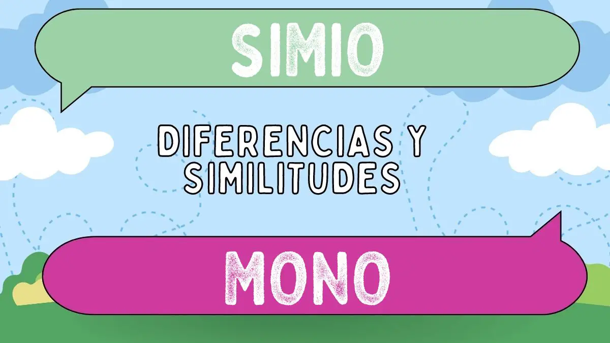 Diferencias entre simio y mono