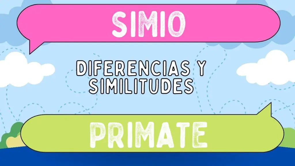 Diferencias entre simio y primate
