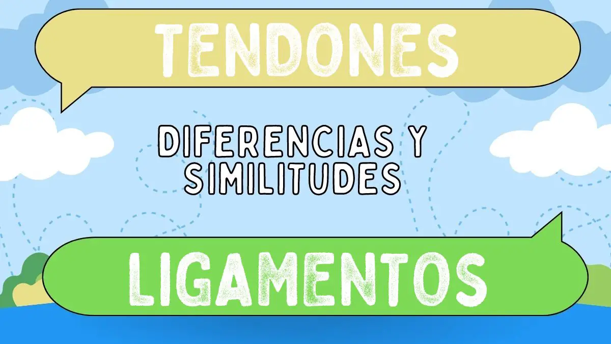 Diferencias entre tendones y ligamentos
