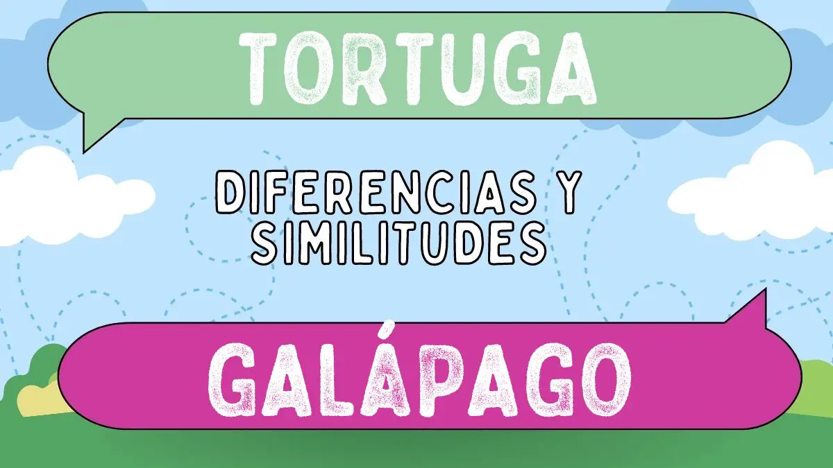 Diferencias entre tortuga y galápago