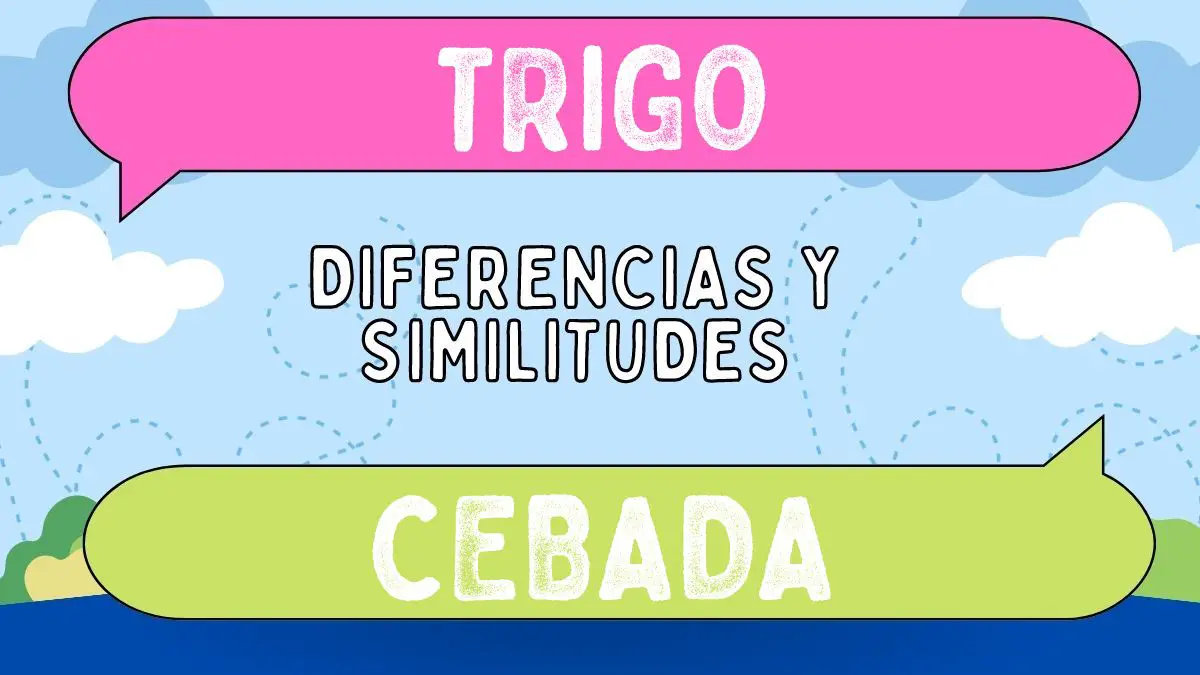 Diferencias entre trigo y cebada