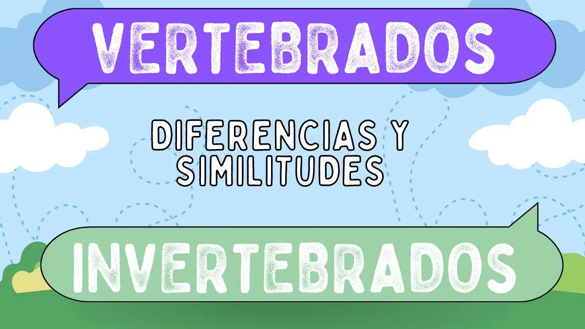 Diferencias entre vertebrados y invertebrados